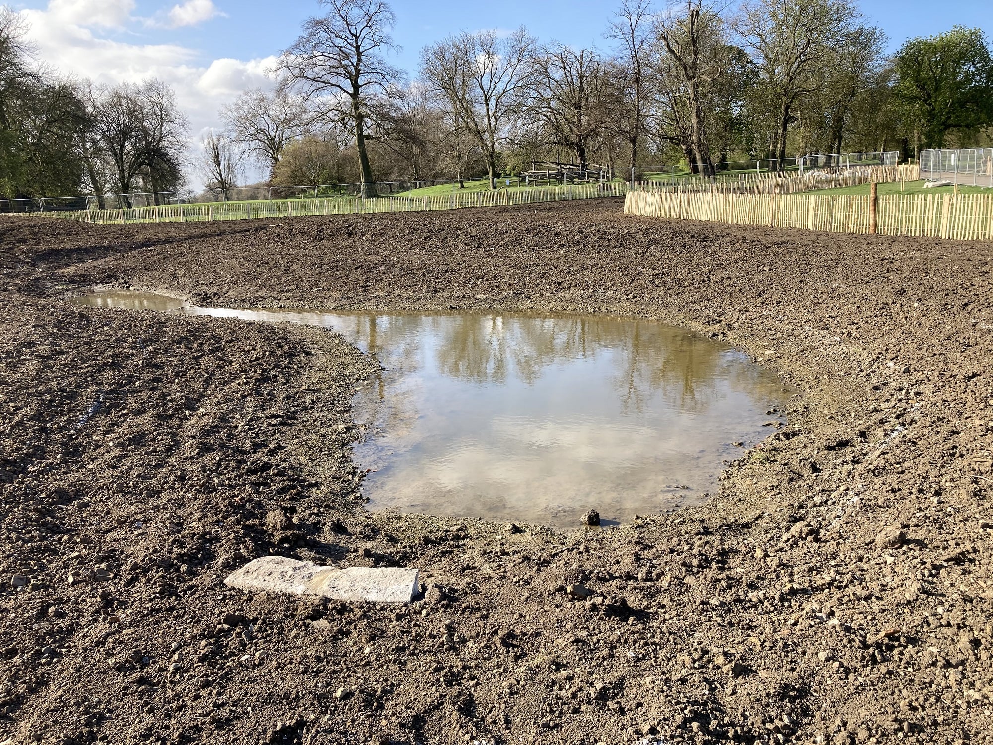 Swale in Public Park - spaceandplacedesign.co.uk